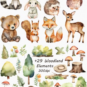 Watercolor Woodland Animals Clipart Set - Bear, Hare, Squirrel, Raccoon ...