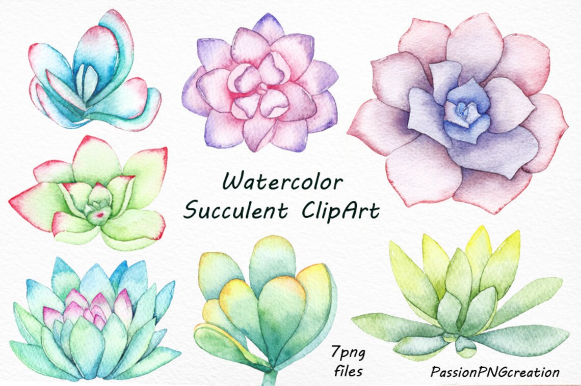 Watercolor Succulent Clipart Watercolour Cactus Clipart | Etsy