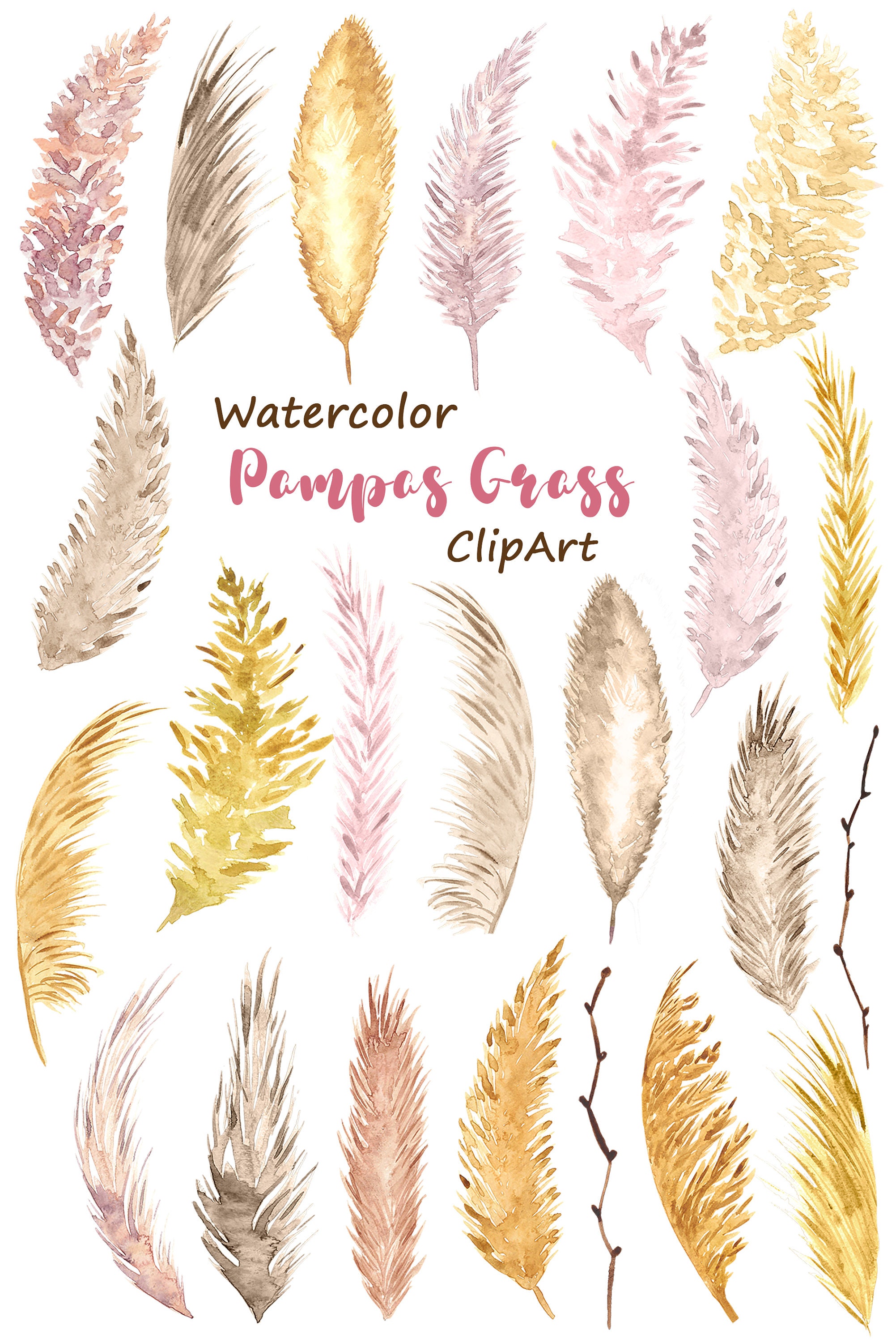 Watercolor Pampas Grass Clip Art. Watercolor Pampas Grass - Etsy