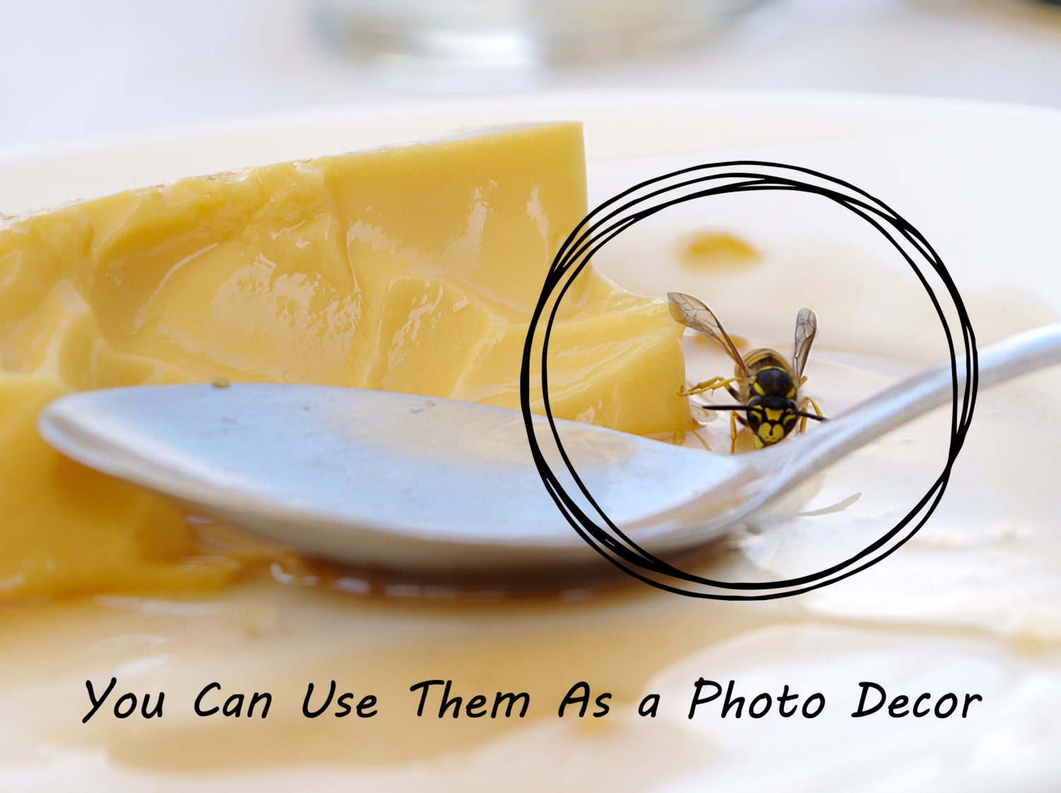 Doodle Circle Clipart Hand drawn Circle Frames Clip art | Etsy