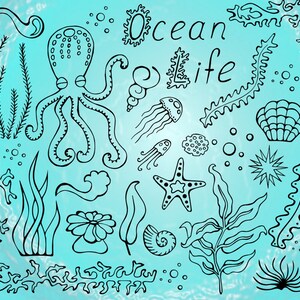 Ocean Life Clip Art, PNG, EPS, AI, Vector, Doodle Clipart, Hand Drawn ...