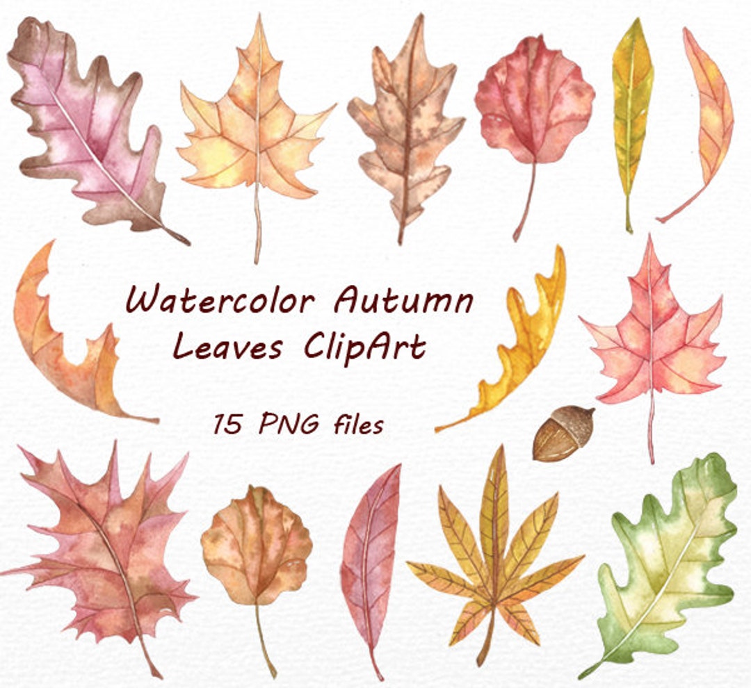 Watercolor Autumn Leaves Clipart, Digital Clipart, Autumn Clip Art ...