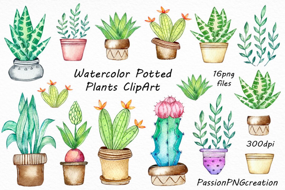 Watercolor Potted Plants Clipart, Potted Plants, Cactus, Pots, Clip Art ...