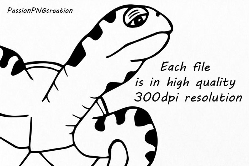 Doodle Marine Life Clipart Sea Life clip art Ocean life | Etsy