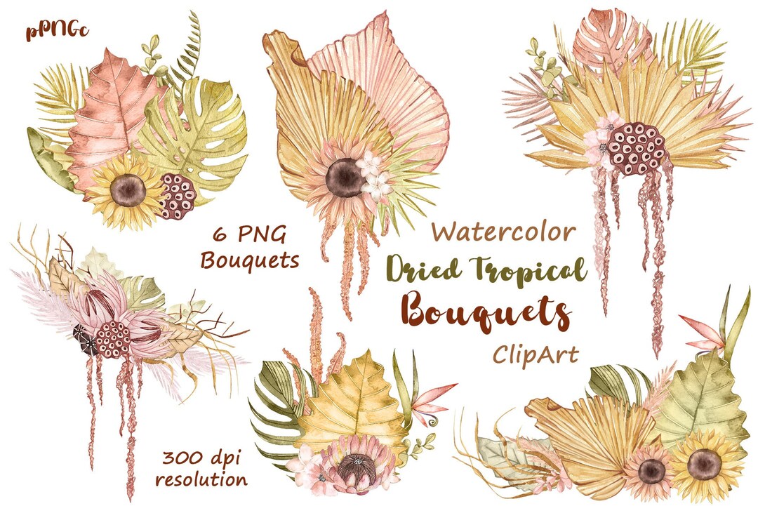 Watercolor Boho Bouquet Clipart: Dried Tropical Flowers (PNG Digital ...
