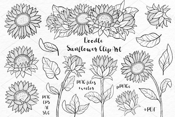 Sunflower Doodles