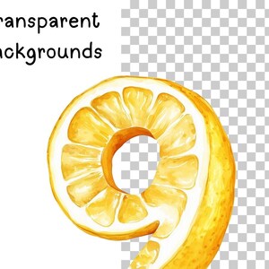 Lemon Numbers Clipart – Watercolor Fruit Number Set | 12 PNG Files ...