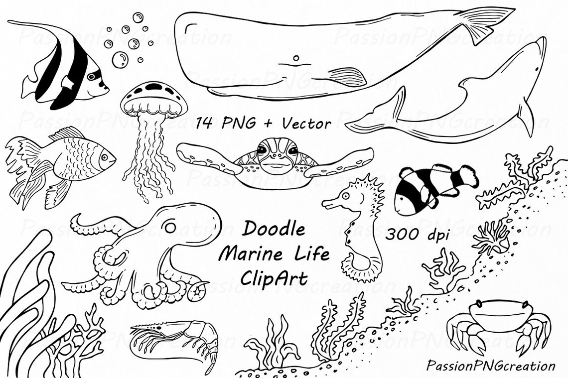 Big Set of Doodle Marine Life Clipart Sea Life clip art | Etsy