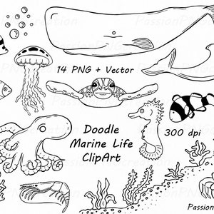 Big Set of Doodle Marine Life Clipart, Sea Life Clip Art, Ocean Life ...