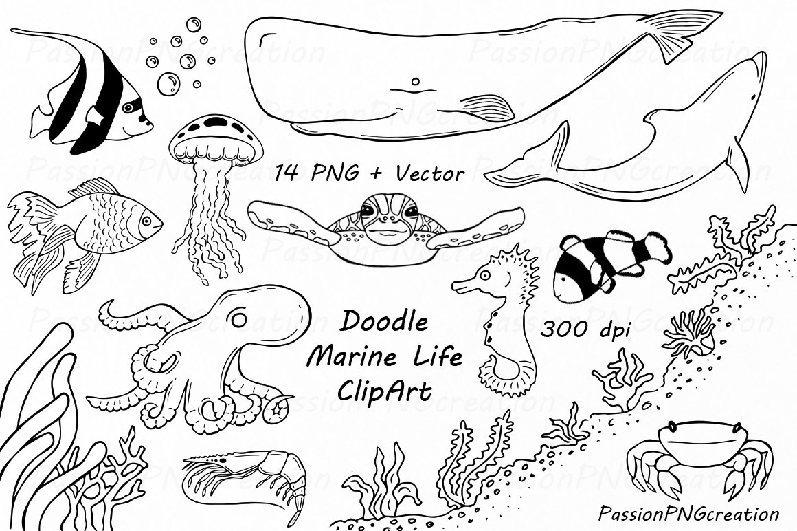 Big Set of Doodle Marine Life Clipart Sea Life clip art | Etsy