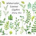 Watercolor Leaves Clipart, Watercolour Clip Art, Hand Painted ...