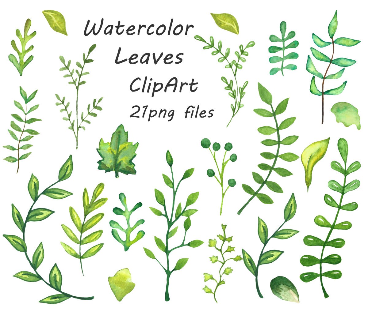 Watercolor leaves clipart watercolour clip art hand | Etsy