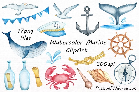 Watercolor Marine Clipart Nautical Watercolor Clip Art PNG | Etsy Canada