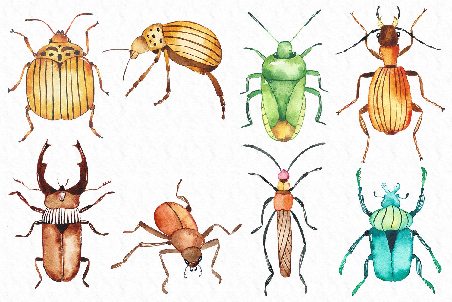 Watercolor Beetles Clipart Digital Watercolour Clip Art Bug | Etsy UK