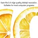 Lemon Numbers Clipart: Watercolor Fruit PNG Set (digital Download) - Etsy