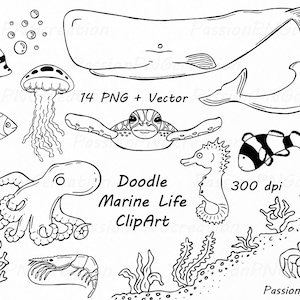 Doodle Marine Life Clipart, Sea Life Clip Art, Ocean Life, PNG, EPS ...