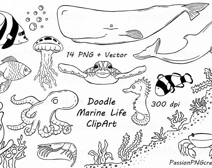 Under the Sea Clipart, Sea Animals Watercolor Digital Clipart, - Etsy ...