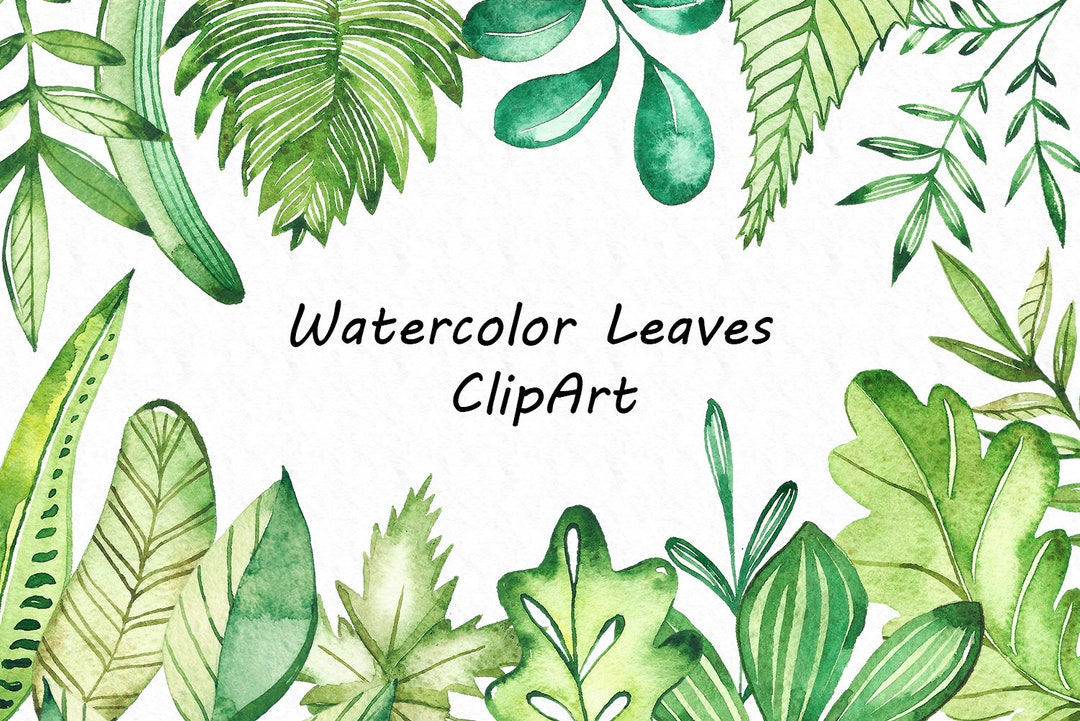 Watercolor Leaves Clipart, Watecolour Leaf Clip Art, Digital, Png ...