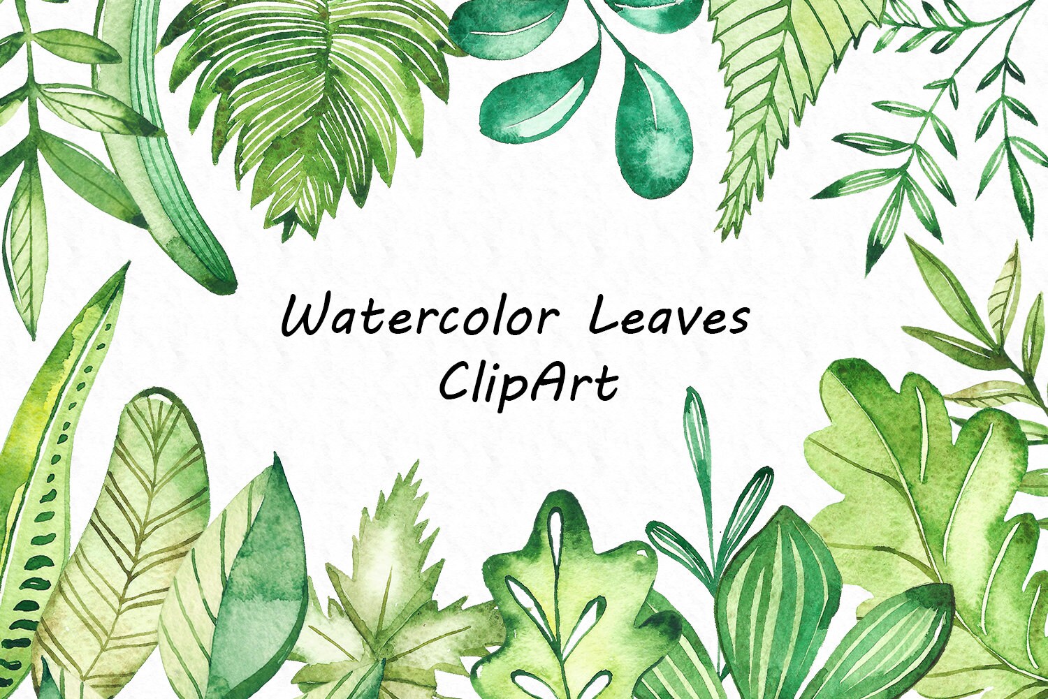 Aquarelle Feuilles Clipart watecolor feuille clip art - Etsy France