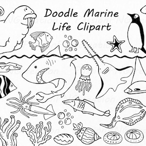 Big Set of Doodle Marine Life Clipart, Sea Life Clip Art, Ocean Life ...