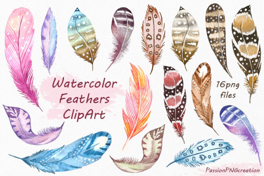Watercolor Feathers Clipart, Feather Clip Art, Digital Feathes, Feather ...