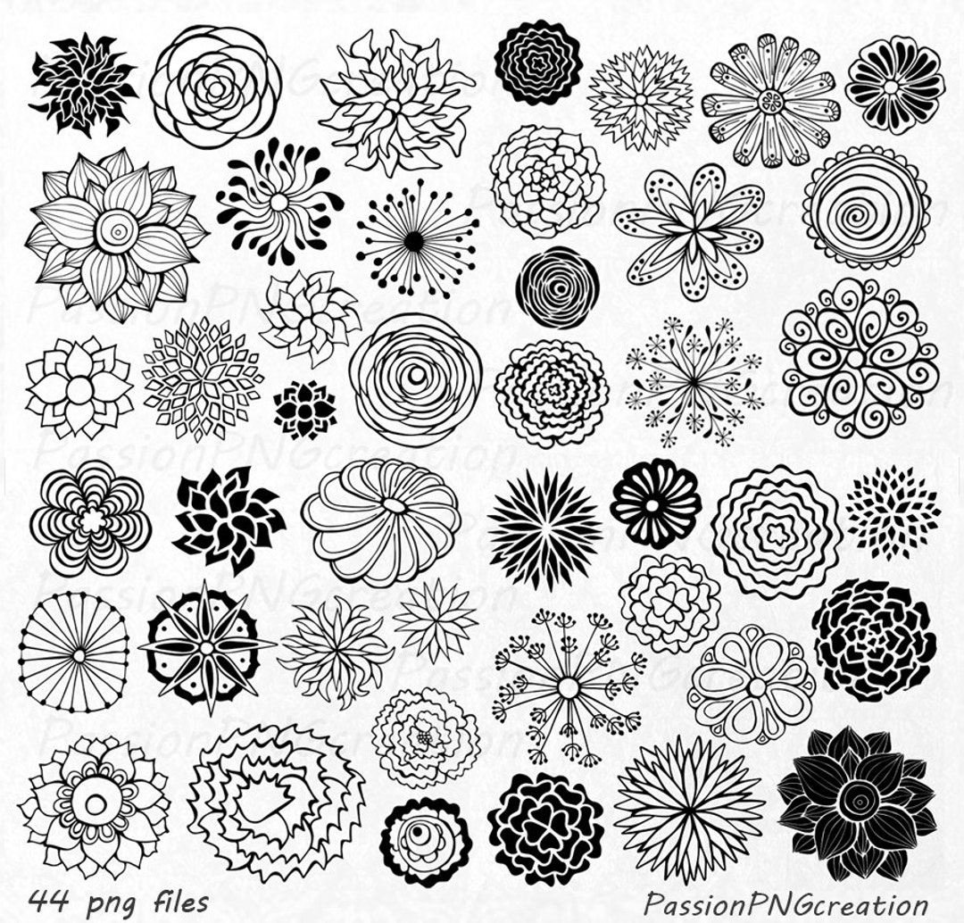 Hand Drawn Flower Clipart Set: 44 PNG, EPS, & AI Floral Silhouettes ...
