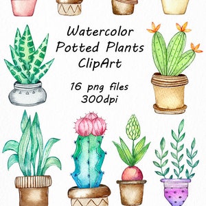 Watercolor Potted Plants Clipart, Potted Plants, Cactus, Pots, Clip Art ...