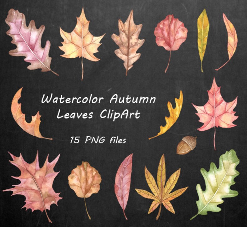 Watercolor autumn leaves clipart Digital Clipart Autumn clip | Etsy