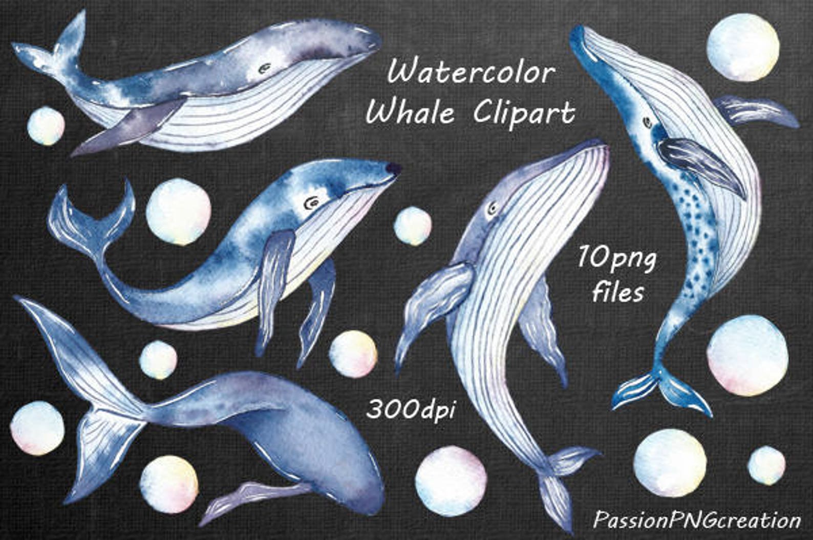Watercolor Whale Clipart Whale Clip Art Digital Watercolor - Etsy