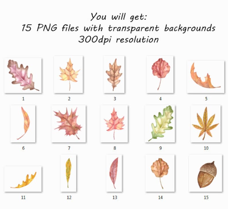 Watercolor autumn leaves clipart Digital Clipart Autumn clip | Etsy