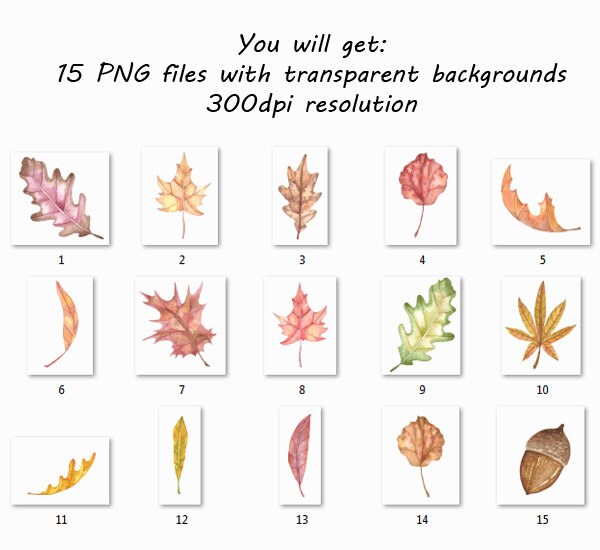 Watercolor autumn leaves clipart Digital Clipart Autumn clip | Etsy