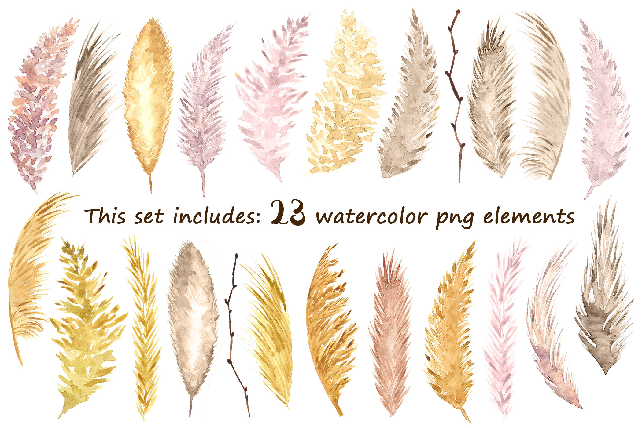 Watercolor Pampas Grass Clip Art. Watercolor Pampas Grass - Etsy
