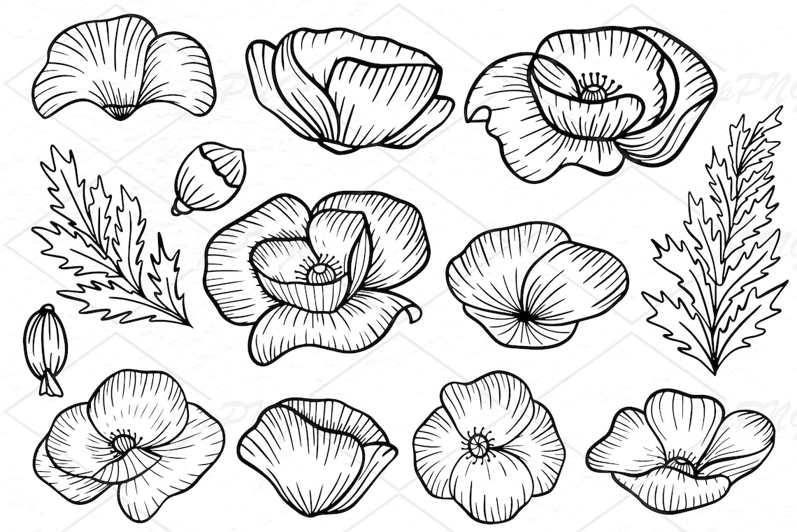 Doodle Poppy Clipart, Hand Drawn Poppy, Vector Poppy, Poppy Svg Bundle ...