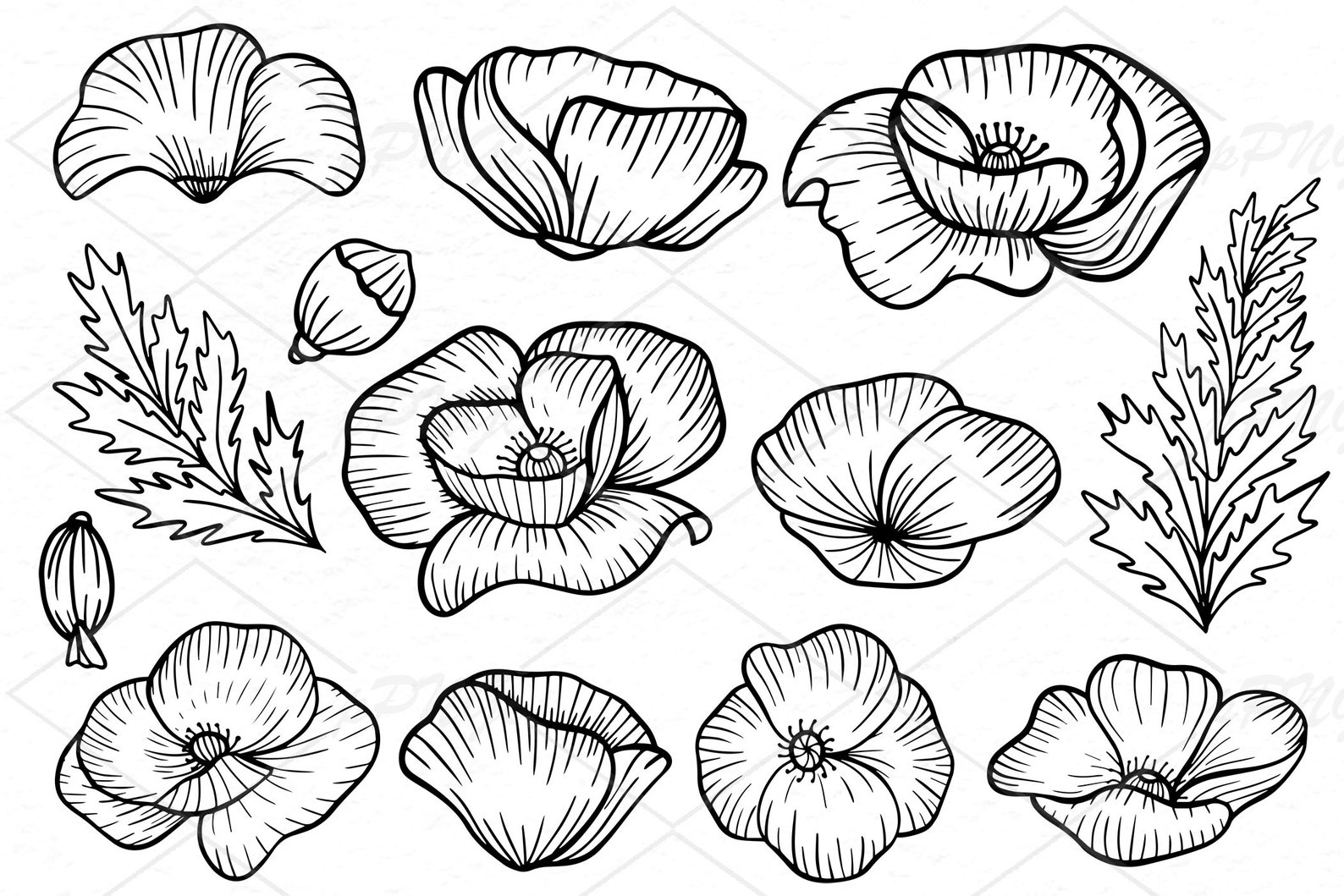 Doodle Poppy Clipart Hand Drawn Poppy Vector Poppy Poppy - Etsy