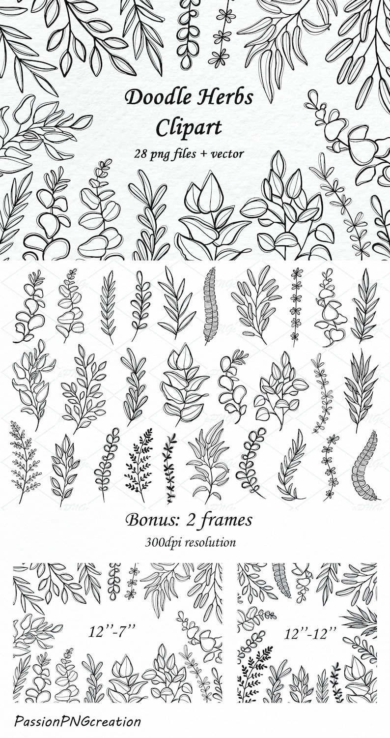 Doodle Herbs Clipart Leaves Clip Art Herbs Silhouette - Etsy