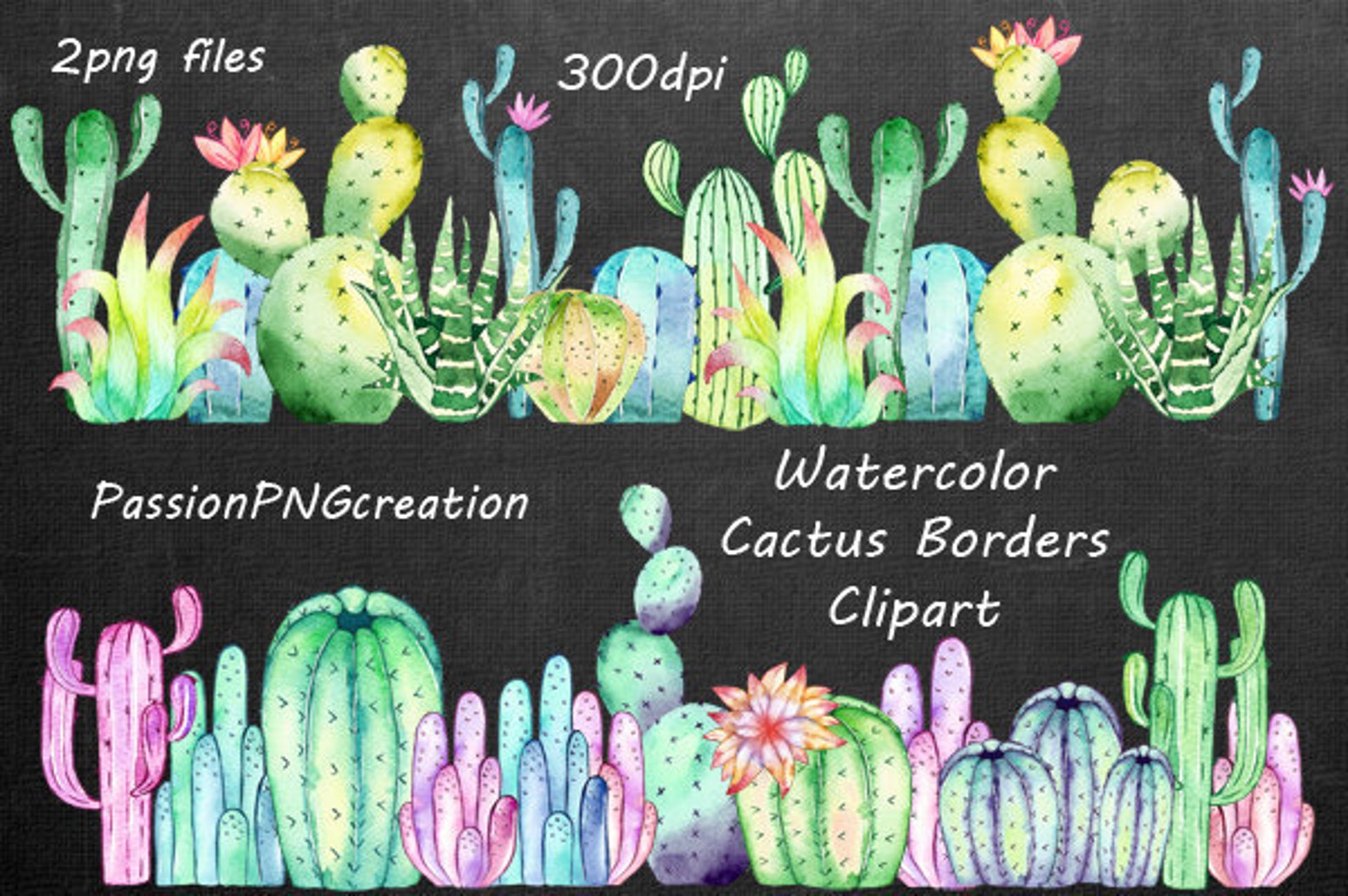 Watercolor Cactus Borders Clipart: PNG Photo Overlays (digital Download ...