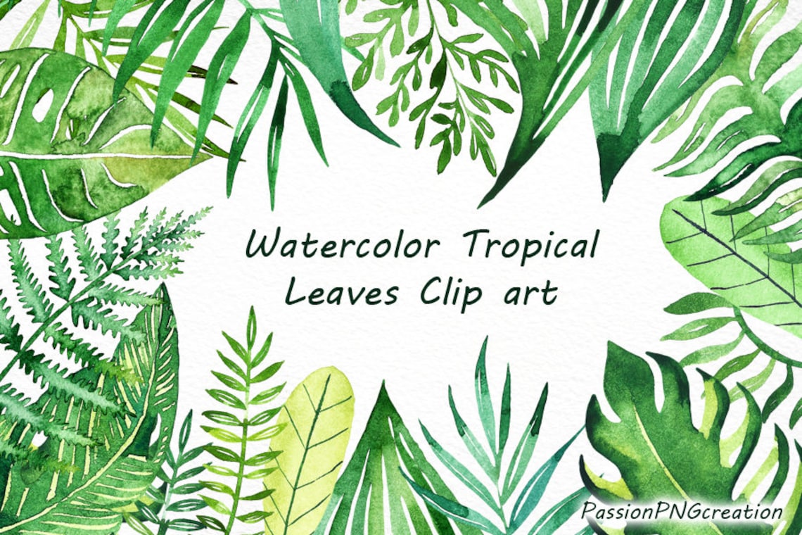 Watercolor Tropical Leaves Clip Art Handpainted Clipart PNG | Etsy