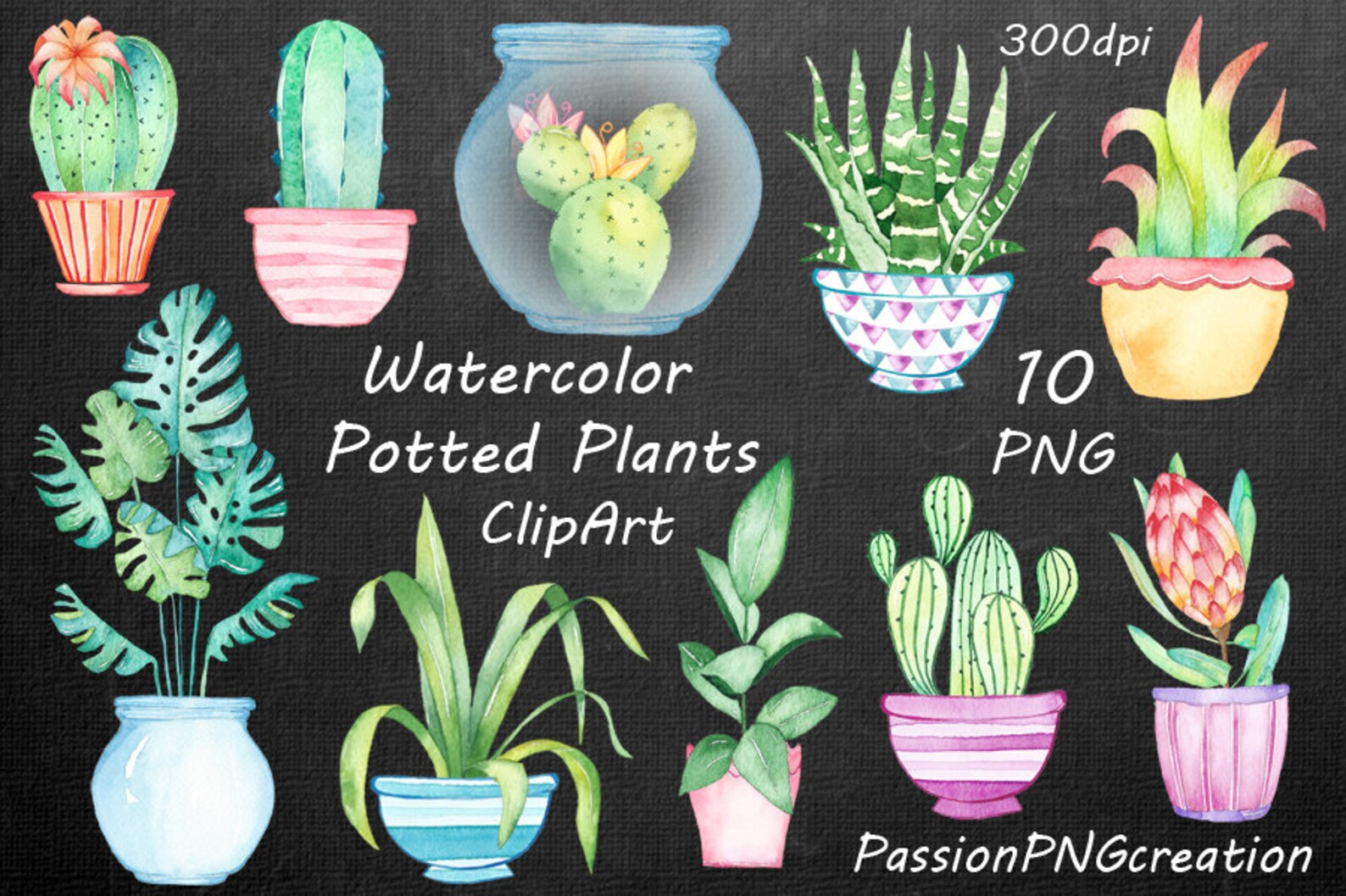 Watercolor Potted Plants Clipart Potted Plants Cactus Pots - Etsy