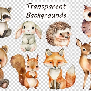 Watercolor Woodland Animals Clipart Set - Bear, Hare, Squirrel, Raccoon ...