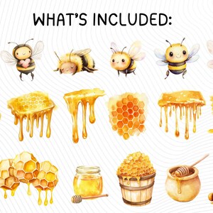 Bee and Honey Clipart Bundle, Cute Watercolor Bees, Honeycomb ...