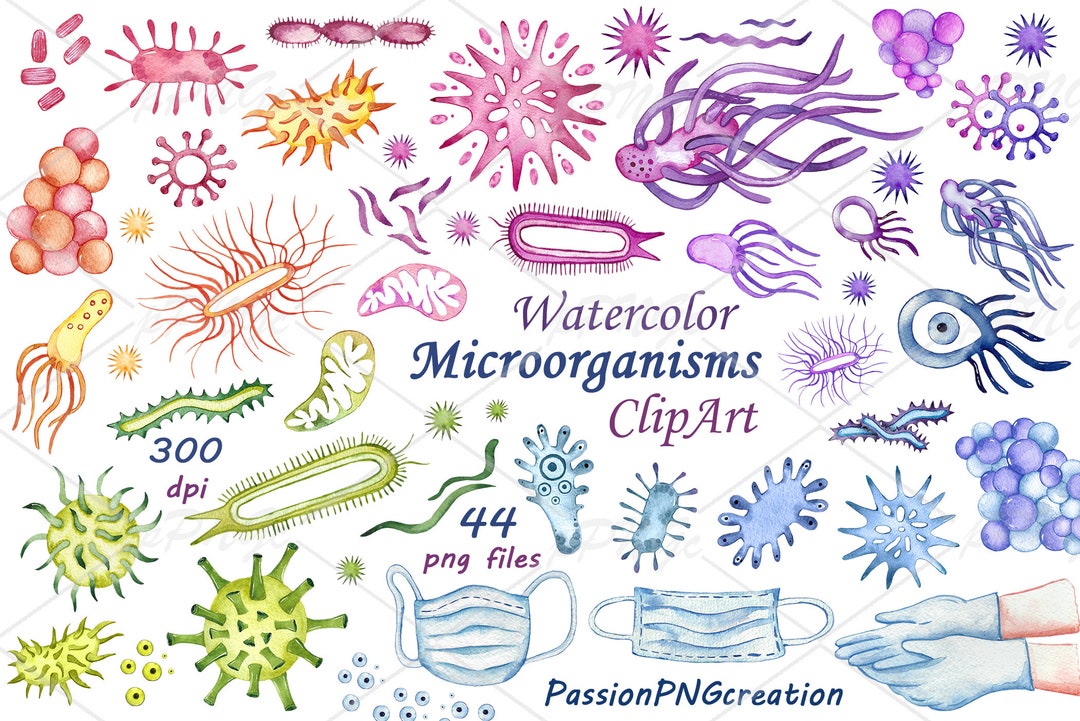 Watercolor Microorganisms Clipart: Virus, Bacteria PNG Files (digital ...