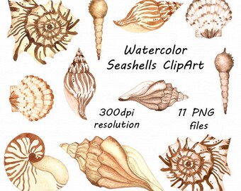 Schelp clipart png | Etsy Nederland