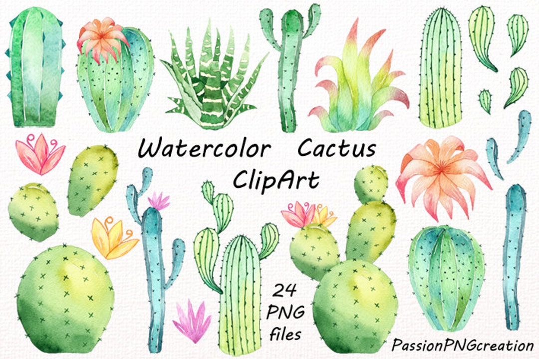 Watercolor Cactus Clipart: Hand-painted Succulents (PNG Files) - Etsy