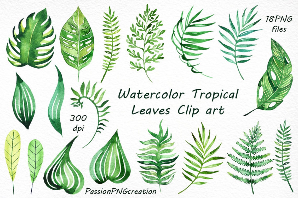 Watercolor Tropical Leaves Clip Art Handpainted Clipart PNG | Etsy