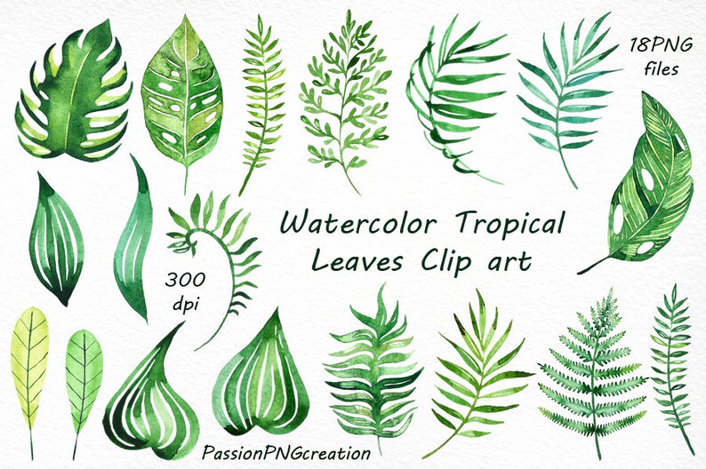 Watercolor Tropical Leaves Clip art Handpainted clipart PNG | Etsy