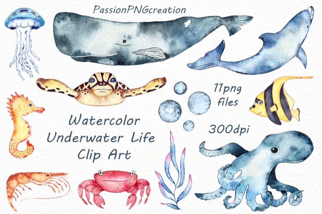 Watercolor Sea Life Clipart, Ocean Clip Art, PNG, Transparent ...