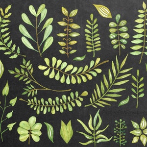 Watercolor Leaves Clipart, Watercolour Clip Art, Hand Painted ...