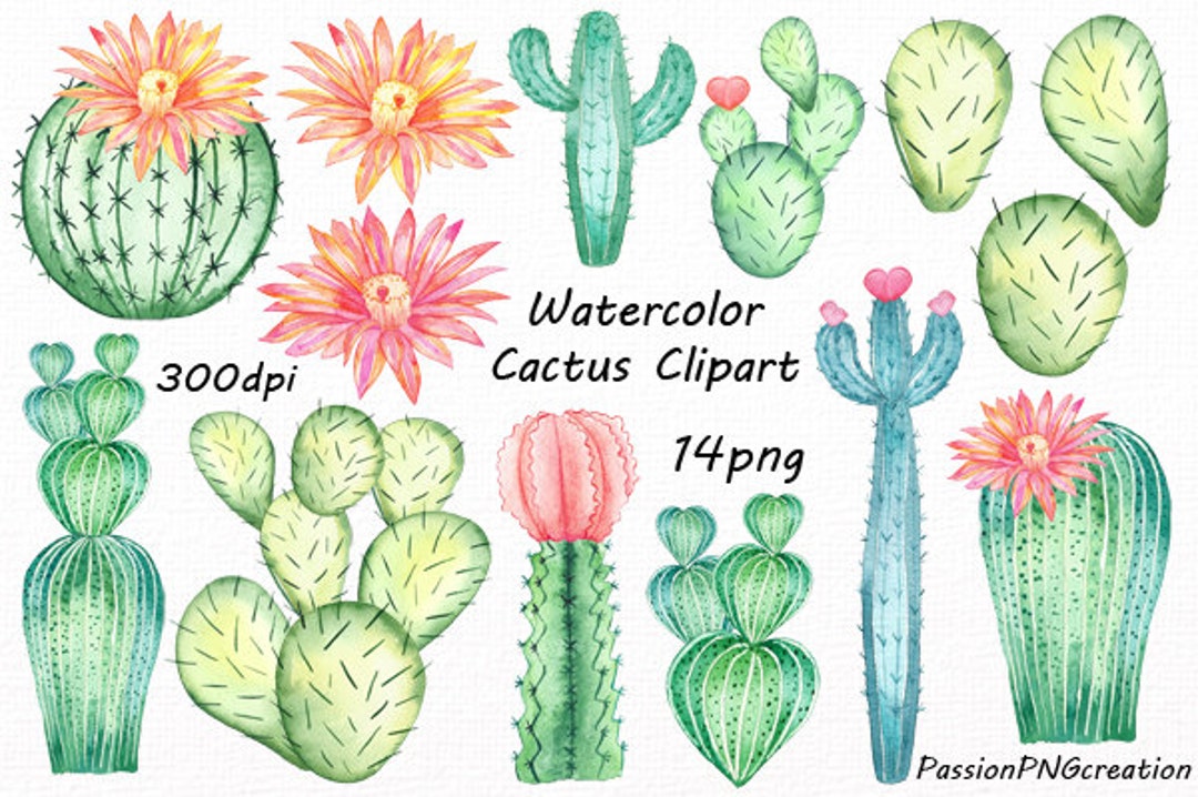 Watercolor Cactus Clipart, Hand Painted Succulents, Digital Clipart ...