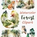 Forest Clipart, Watercolor Path Clip Art, Wood Clip Art, Png, Digital ...