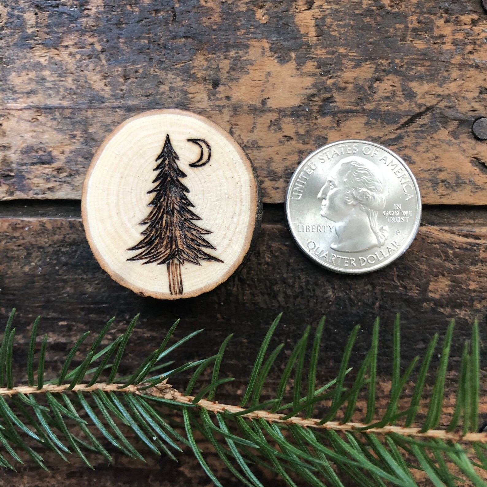Wood Burned Tiny Pine Tree Pin or Brooch. Handmade by Forage | Etsy